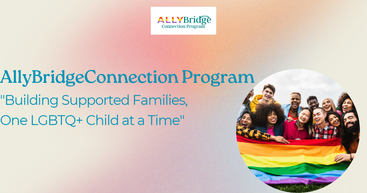 AllyBridgeConnection Program